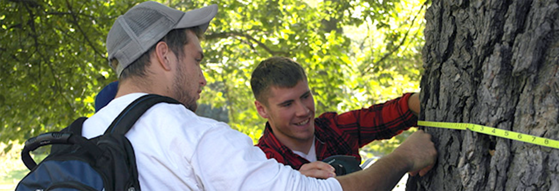 Tree Inventory Moravian University
